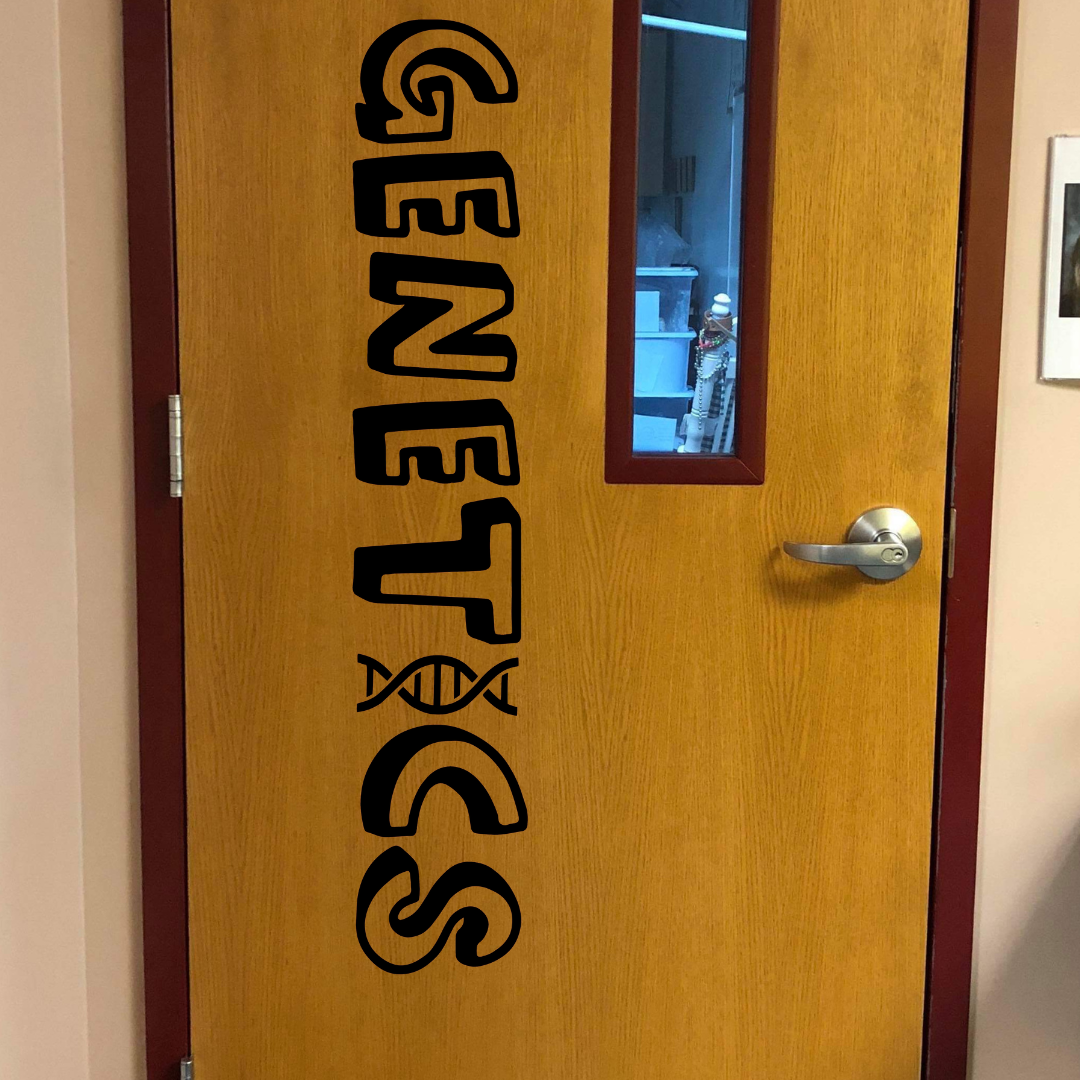 Genetics decal, Genetics classroom door decor, Science decor – The ...
