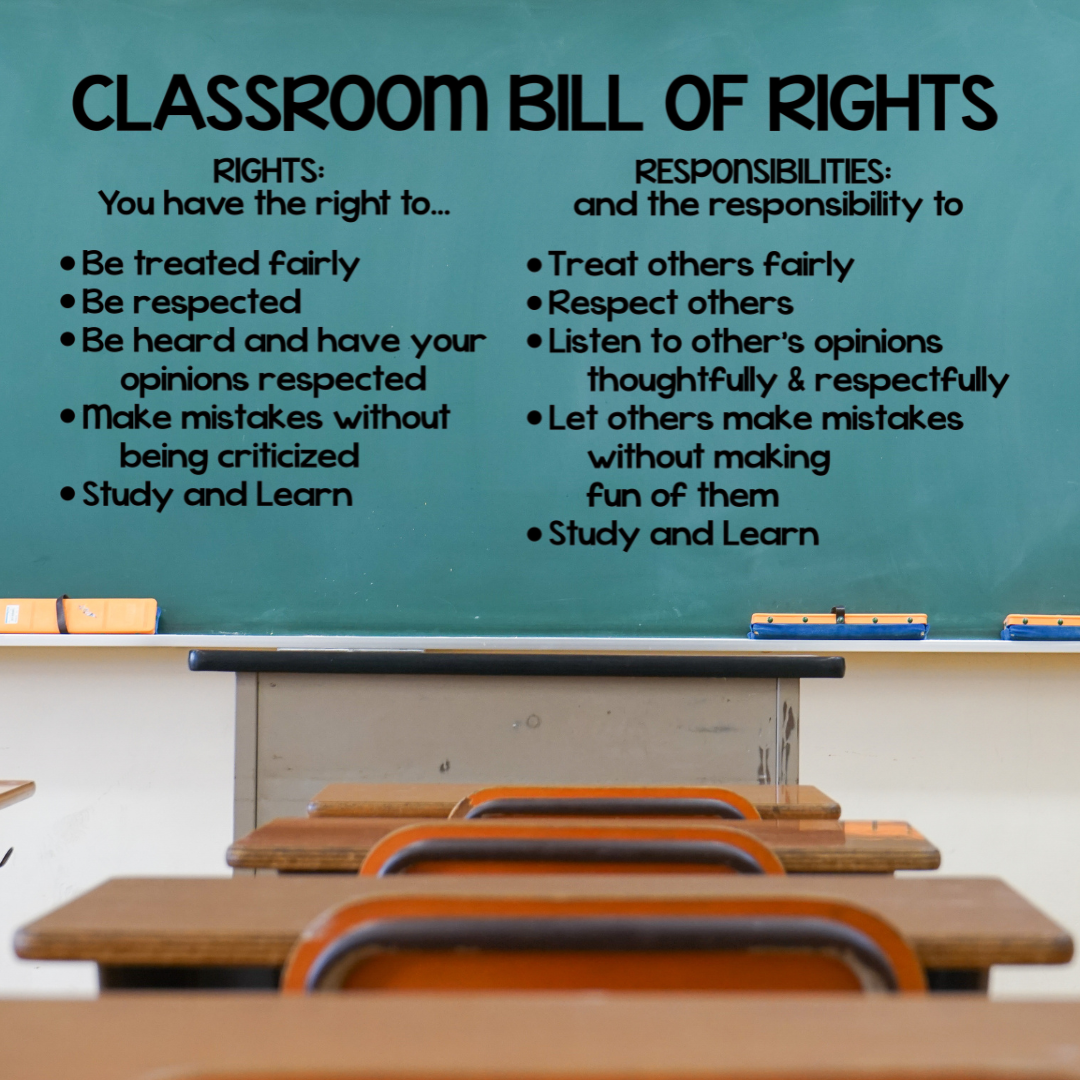 Classroom Bill of Rights, Classroom Rules decal, History classroom ...