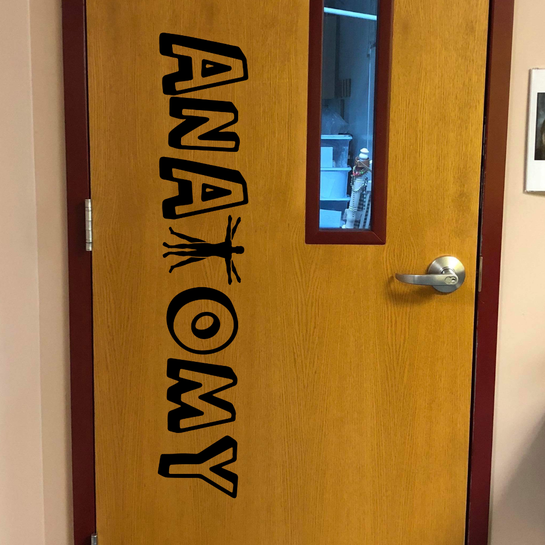 Anatomy decal, Anatomy Teacher, Classroom door Decal for Anatomy ...